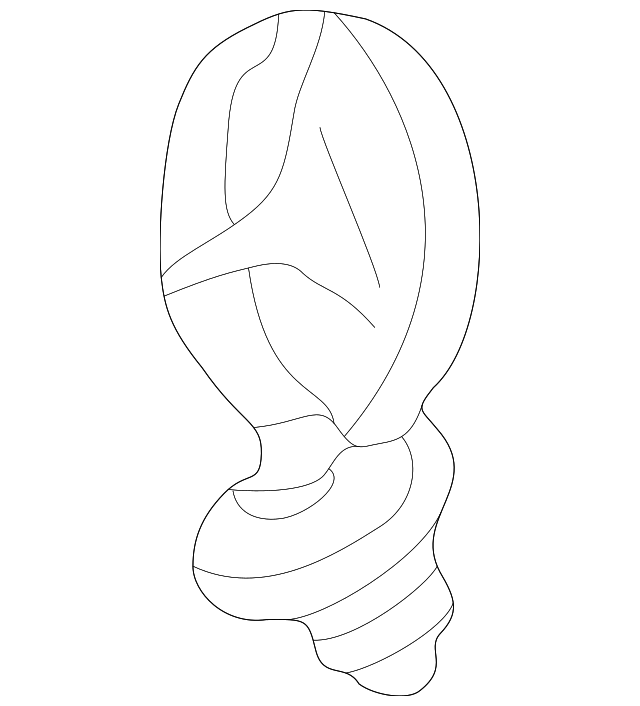 Genuine OEM Hood Ornament | 210-880-01-86 | Fits Select 1994-2007 ...