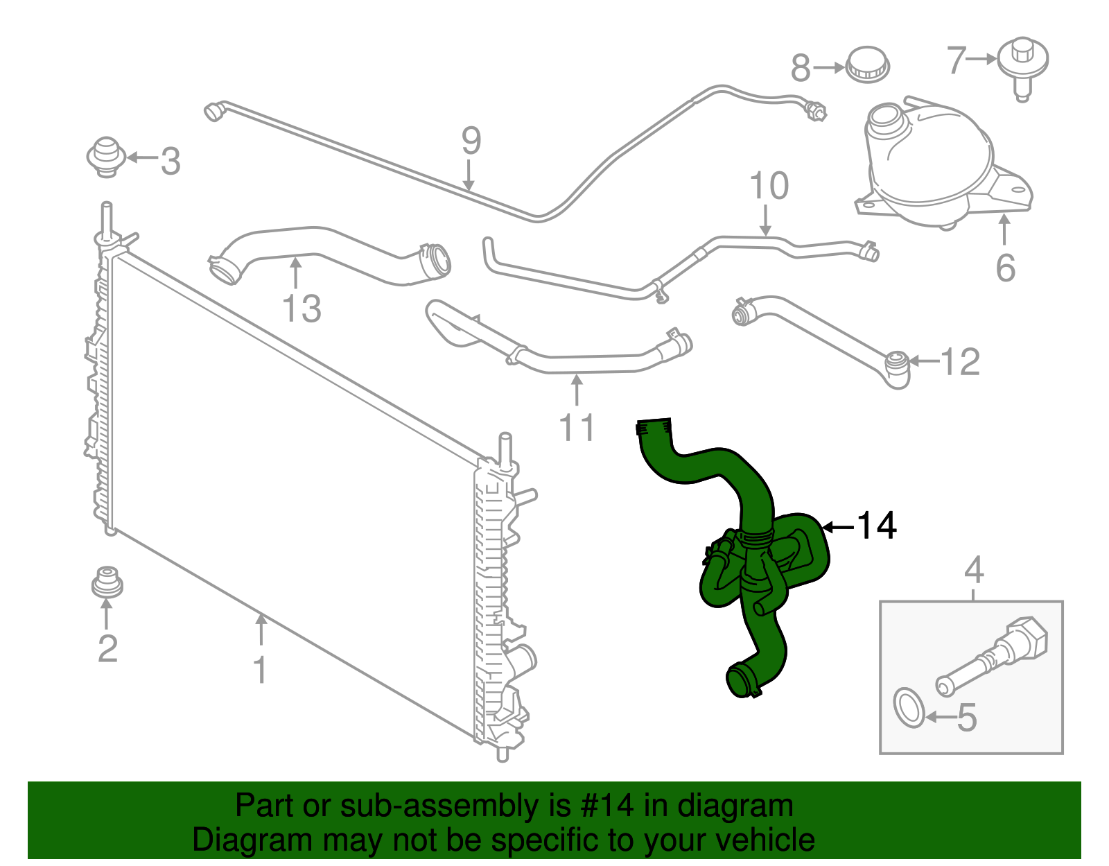 2015-2019 Ford | Lower Hose | CK4Z-8286-E | Walls' Ford Parts