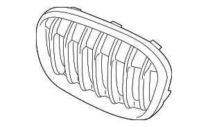 2016-2019 BMW X1 | Upper Grille | 51137354824 | BMW OEM Parts Store