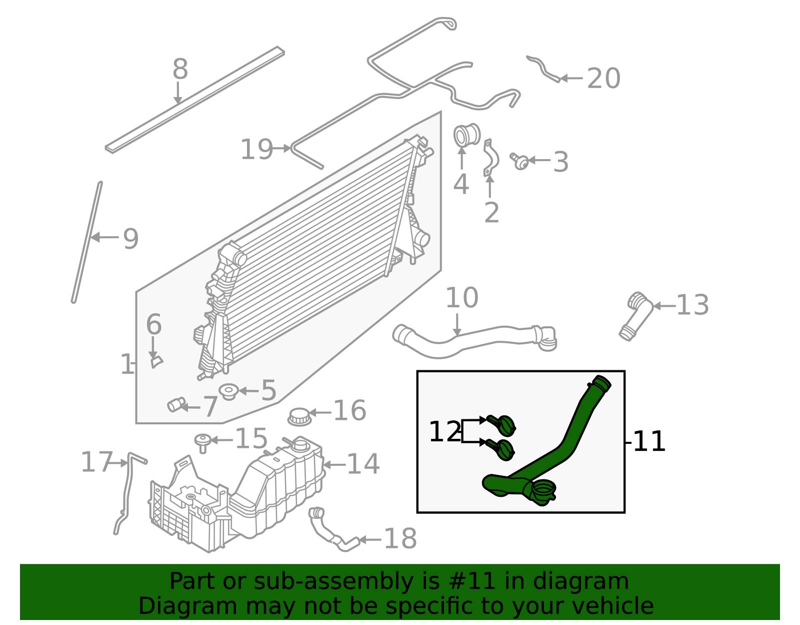 LC3Z-8286-H - Lower Hose 2020-2025 Ford | Ford Parts Direct