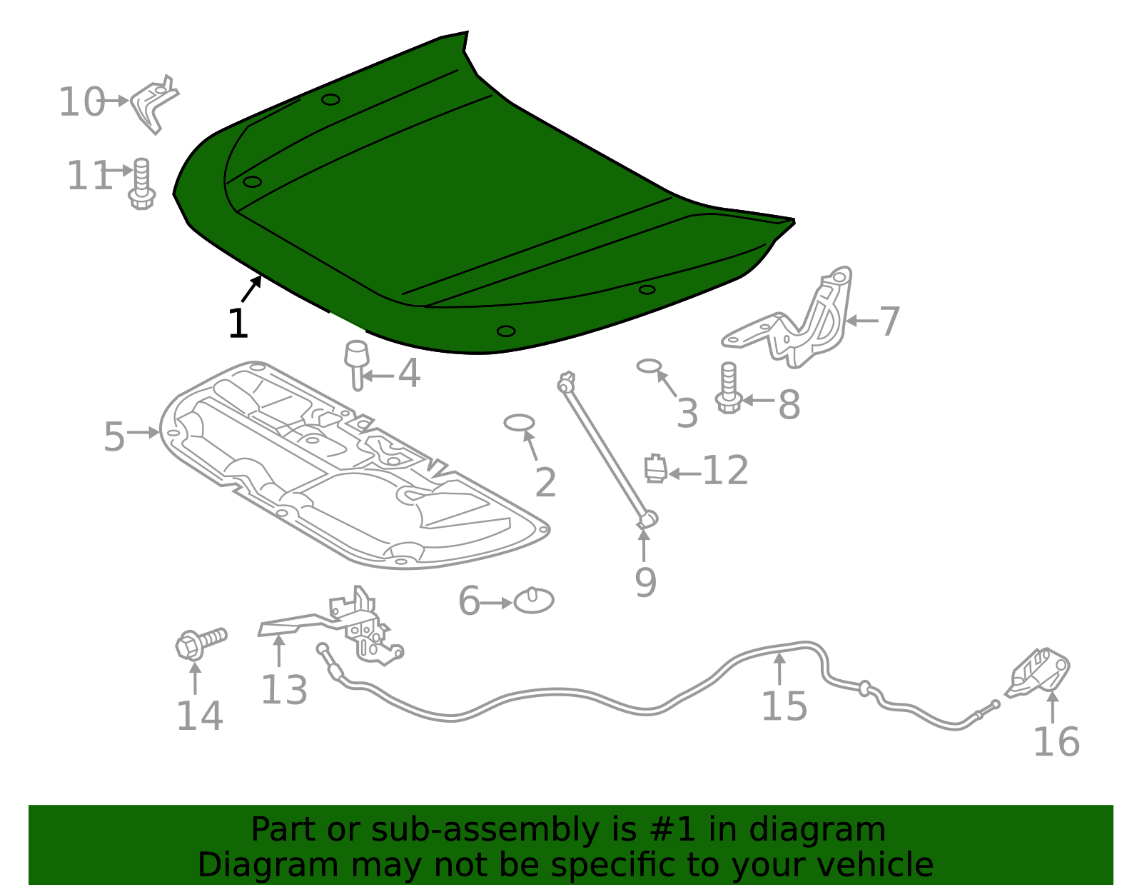 2019-2025 Toyota Hood 53301-0R080 | OEM Parts Online