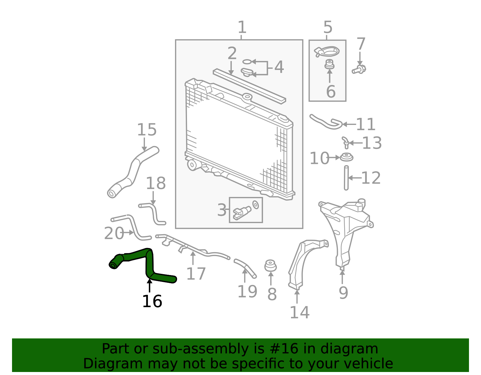 Radiator Coolant Hose | 19502-RGL-A00 | Honda OEM Discount Parts