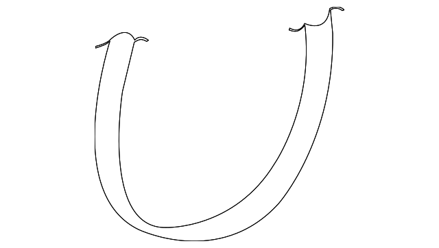 90916-A2020 - Serpentine Belt - 2009-2019 Toyota | OEM Genuine Toyota Parts