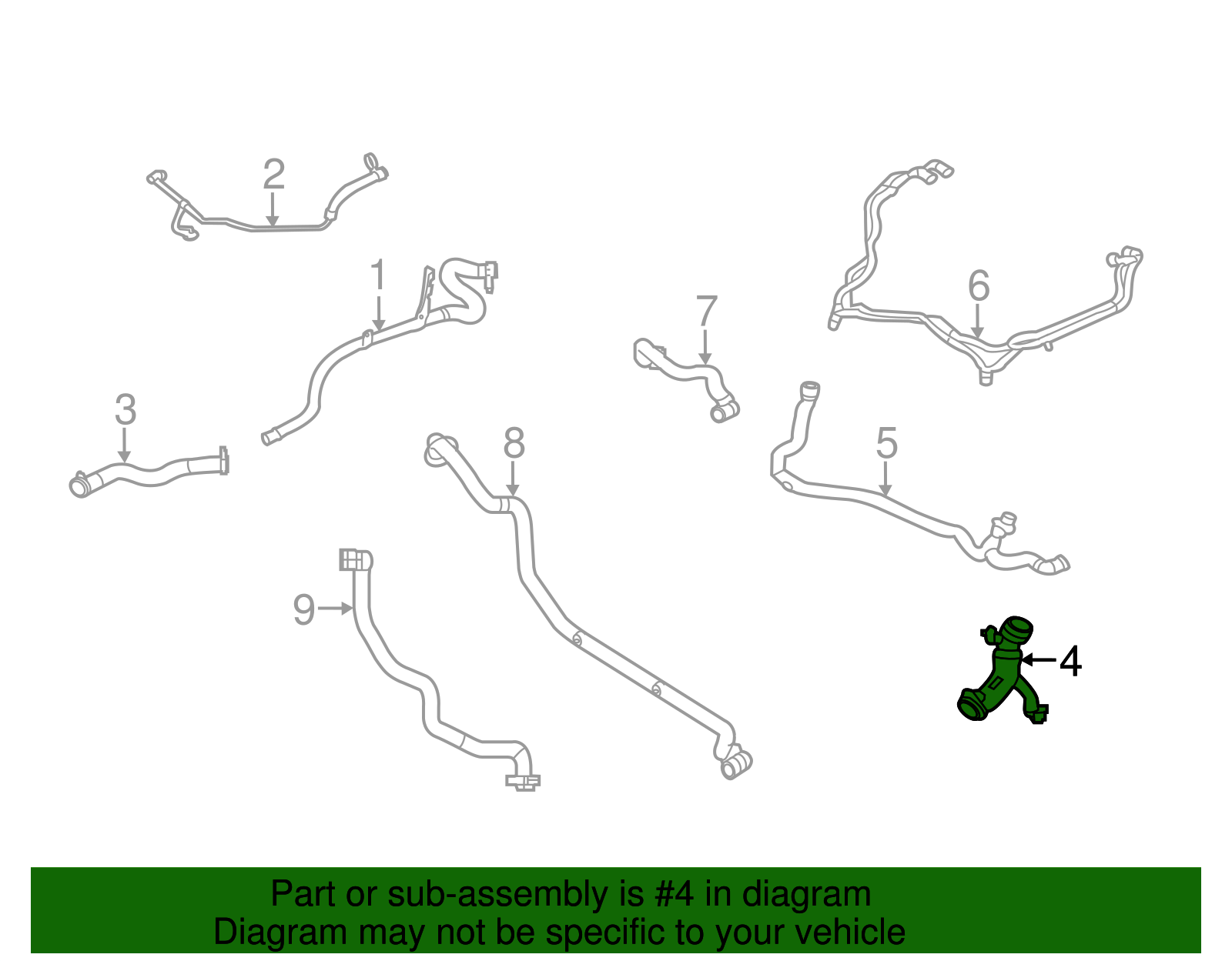2010-2019 Jaguar Lower Hose C2D23172 | OEM Parts Online
