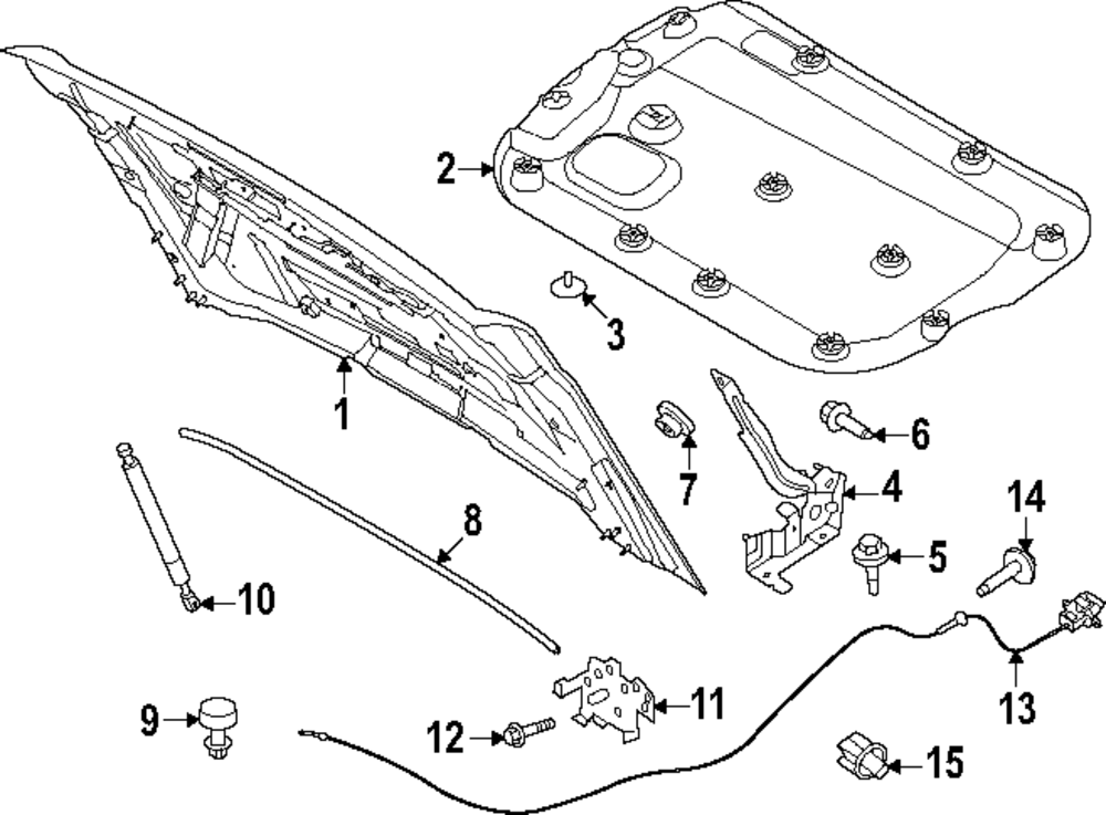 2022-2024 Ford Bronco Hinge N2DZ-16797-A | Ford OEM Parts Outlet