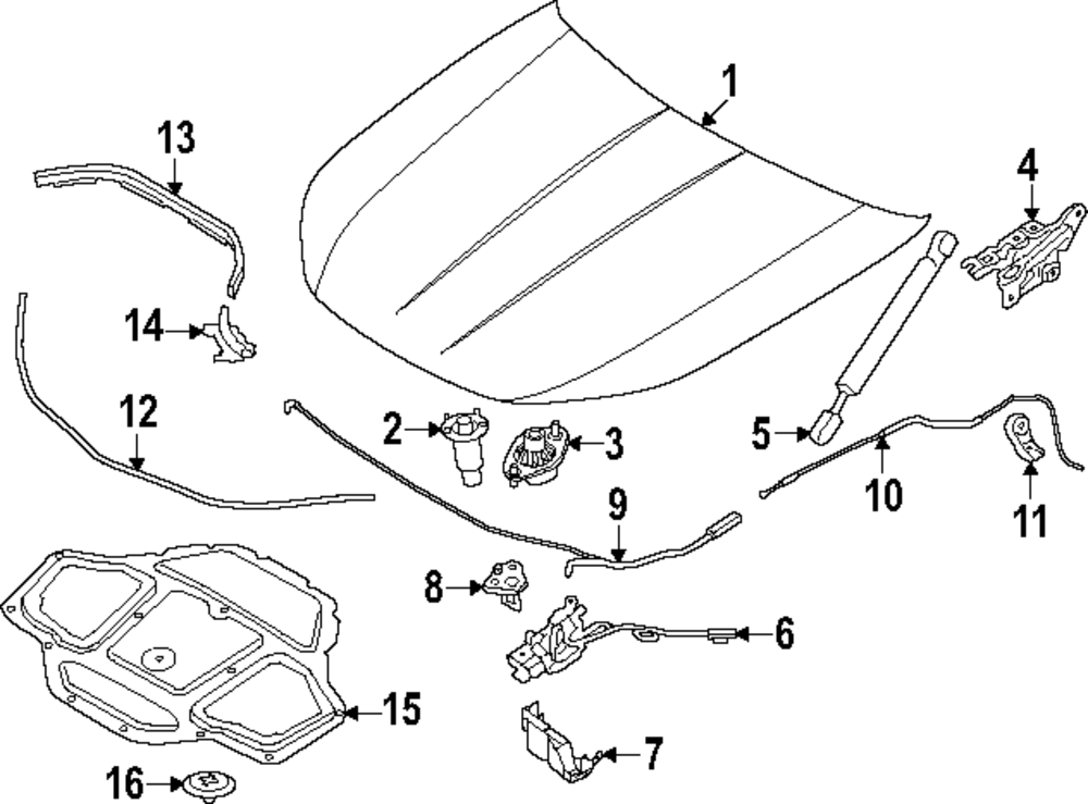 Genuine BMW 51-23-5-A12-C50 | Release Lever | FREE Shipping on Most ...