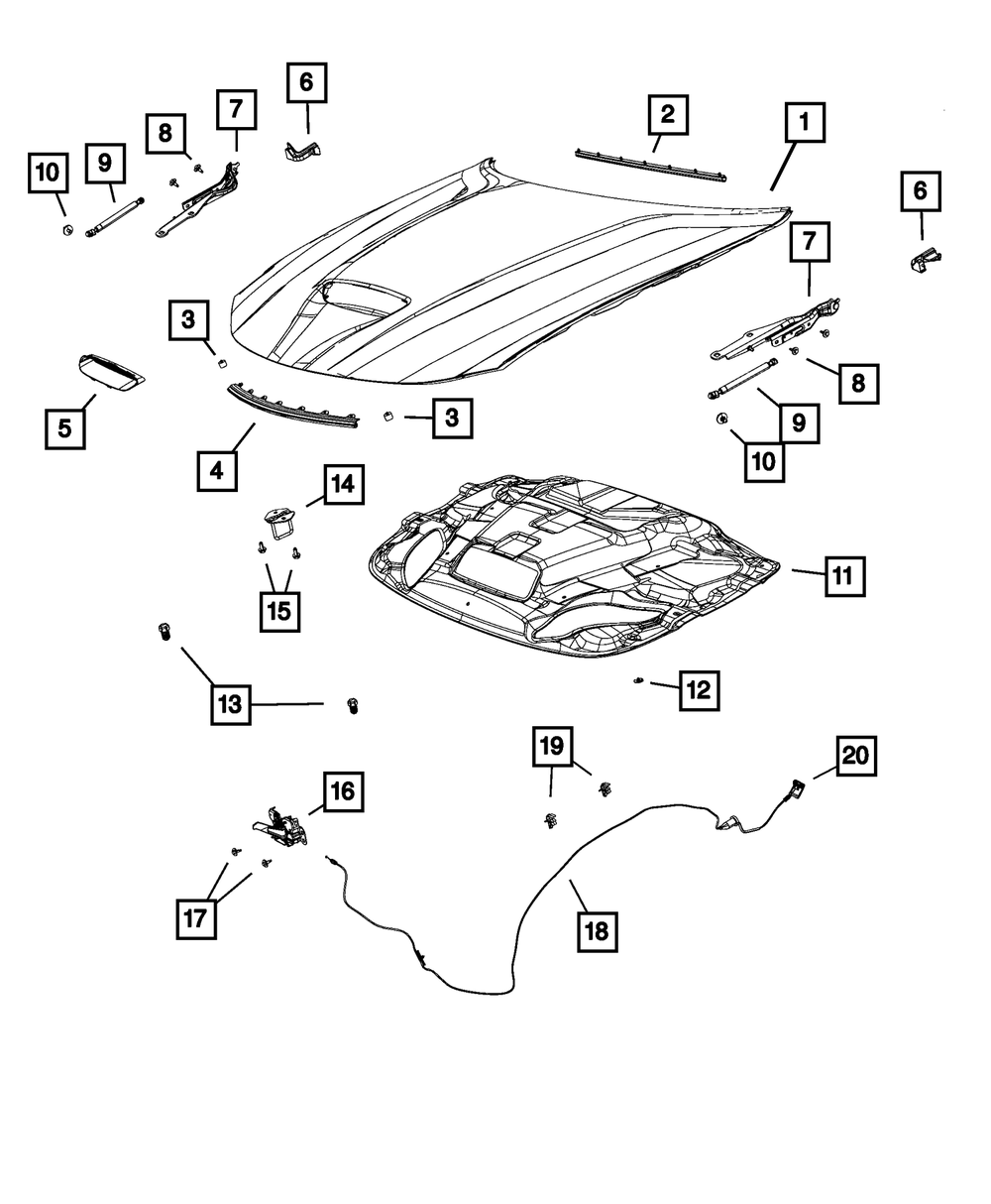 2015-2023 Dodge Charger Hood 68265427AD | My Mopar Parts