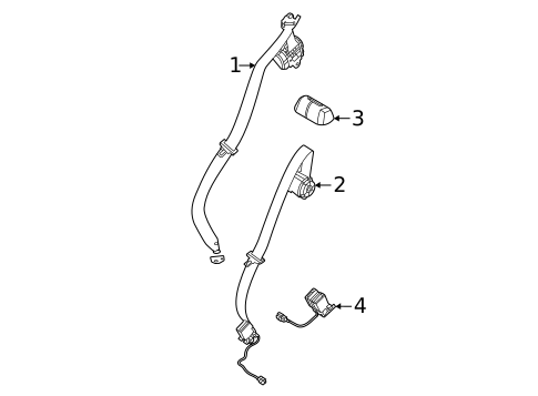 Seat Belt for 2025 Ford Bronco Sport | Eastgate Ford Parts