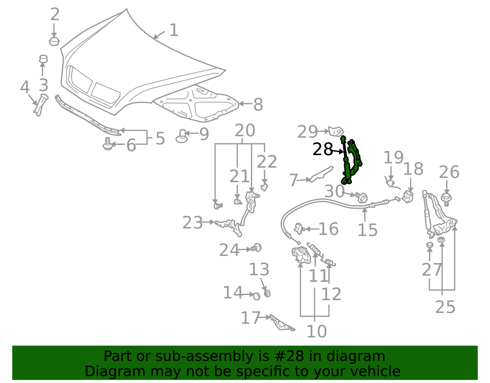 53440-0E010 - Lift Cylinder - 2004-2015 Lexus | My L Parts