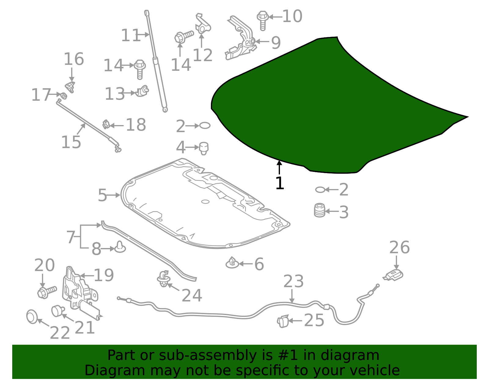 2018-2024 Toyota Camry Hood Panel 53301-06331 | OEM Parts Online