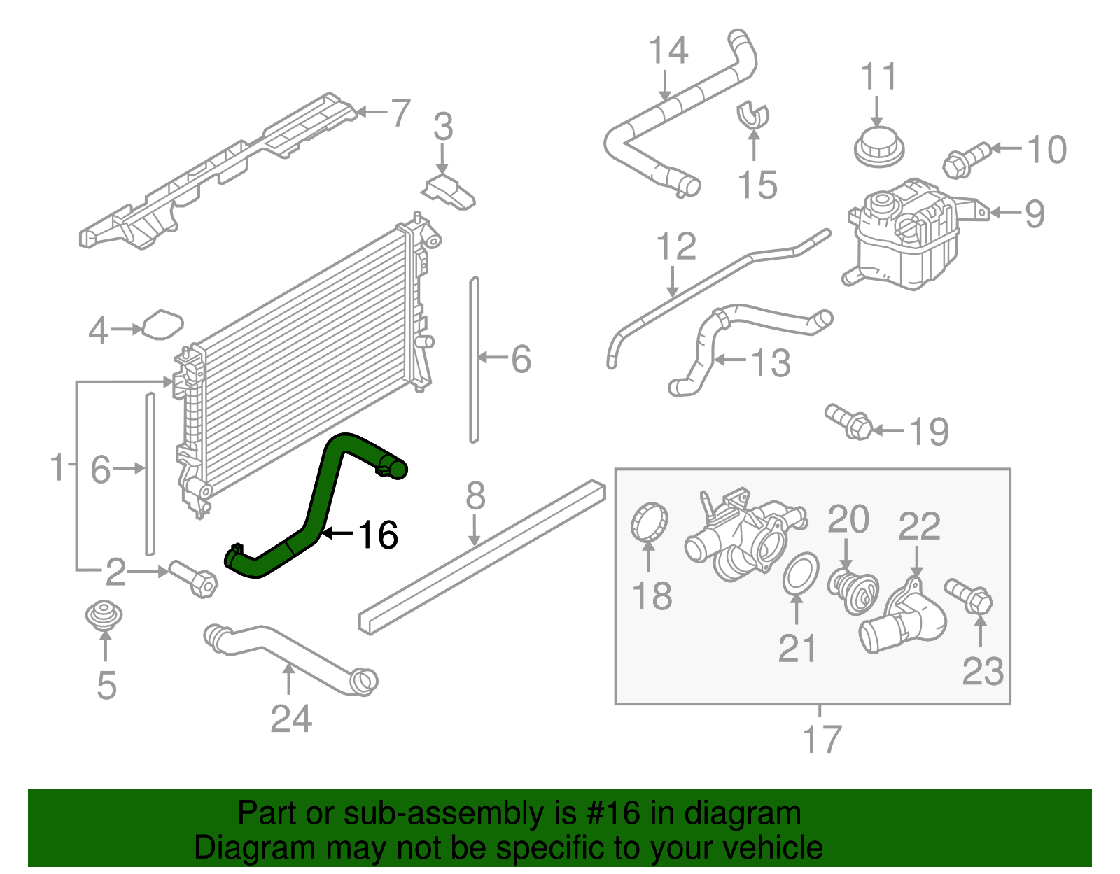 2013-2019 Ford | Lower Hose | DG1Z-8286-C | Walls' Ford Parts