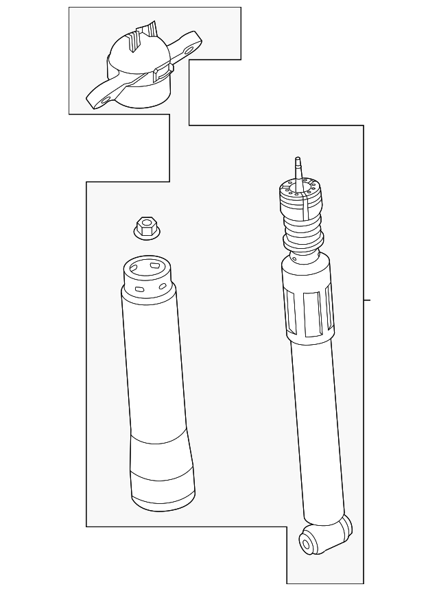 ASH-8666321 - Motorcraft™ Suspension Shock Absorber 2020-2024 Ford ...