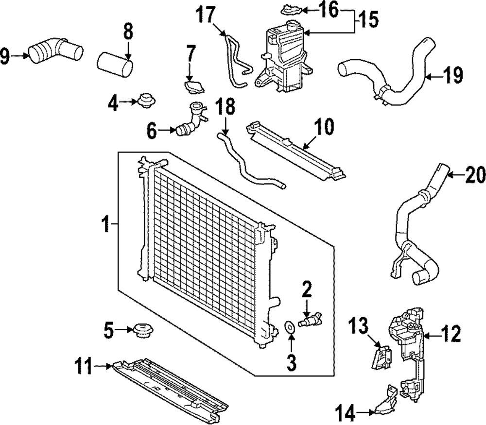 2022-2025 Lexus NX350h | Lower Hose | 16572-F0100 | Express Lexus Parts