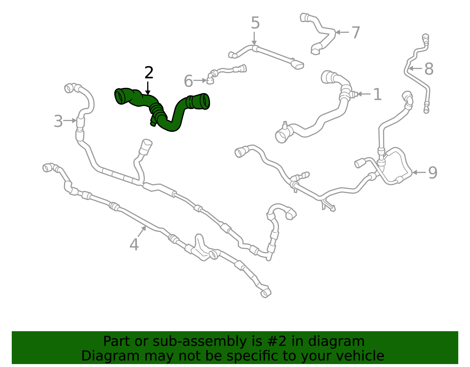 17-12-8-662-842 - 2016-2020 BMW - Lower Hose | BMWPartsHub