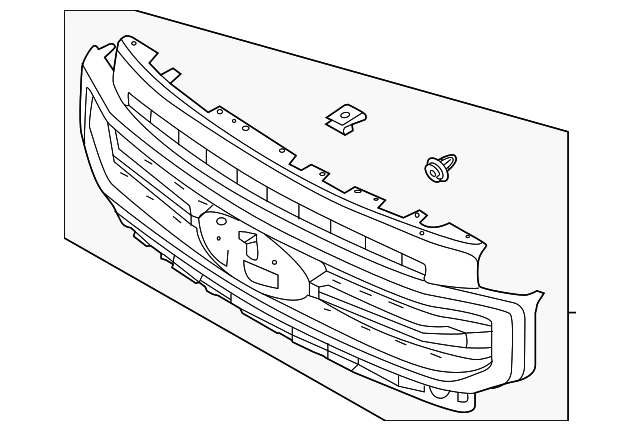 2020-2022 Ford Grille Assembly LC3Z-8200-HA | Miracle Ford Parts