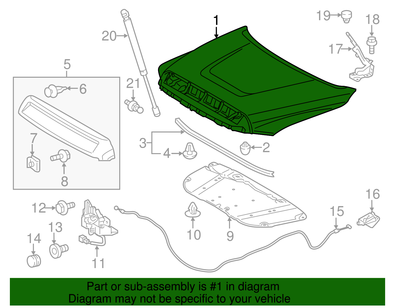 53301-0C060 - Hood - 2018-2021 Toyota Tundra | OEM Genuine Toyota Parts
