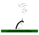 2018-2024 Nissan Kicks Wheel Opening Molding 93828-5RB0A | My Nissan Part