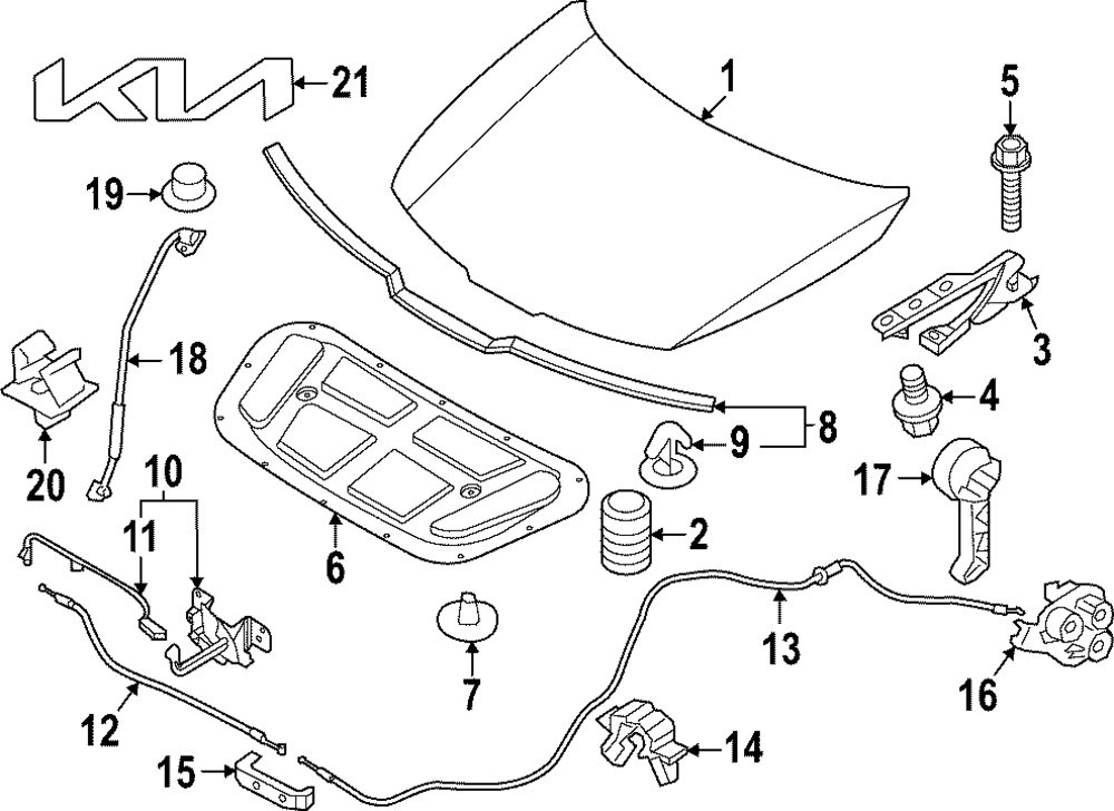 2023-2025 Kia Sportage Hinge 66910-P1000 | TascaParts.com