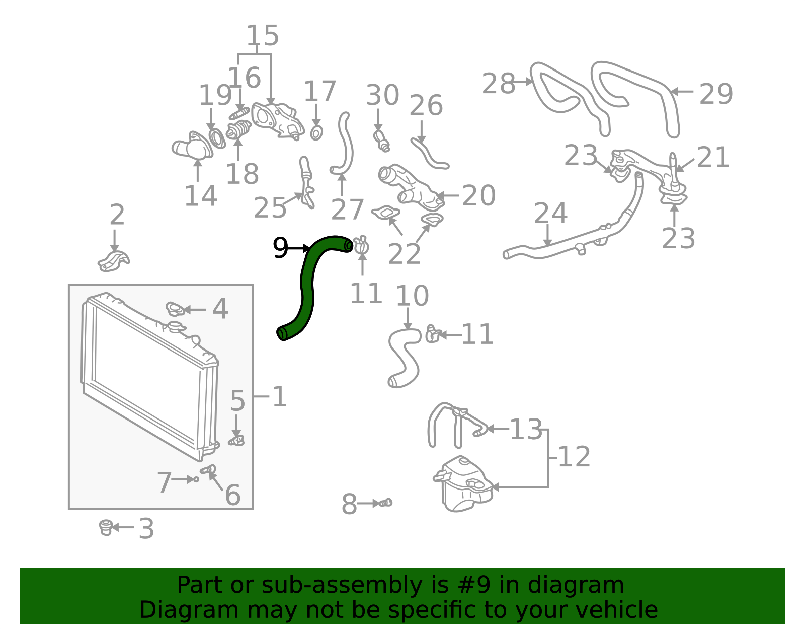 1998-2010 Lexus Lower Hose 16572-50130 | OEM Parts Online
