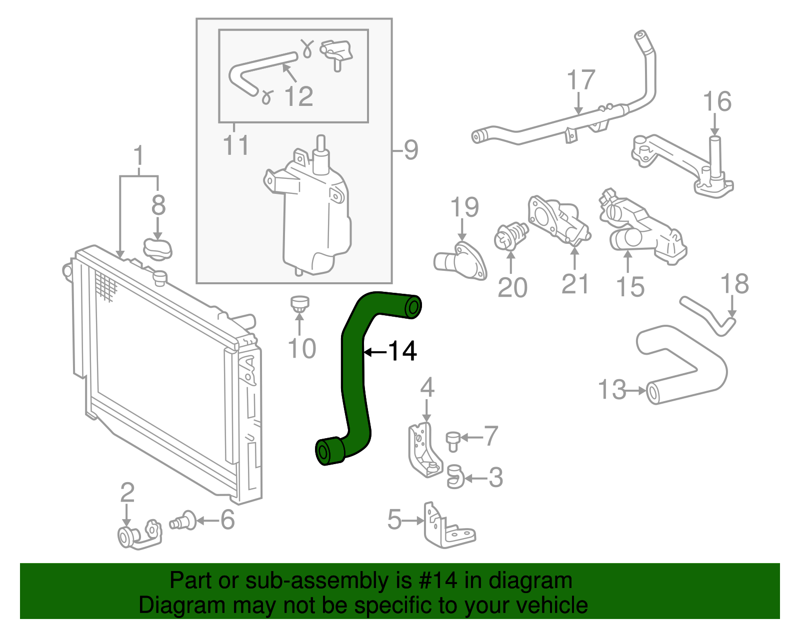 16572-50150 - Lower Hose For 1998-2007 Lexus LX470 | Lexus OE Parts