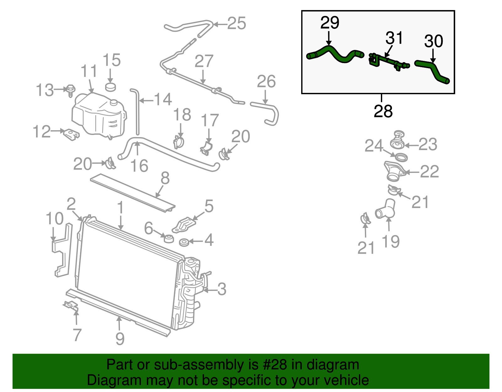 1998-2005 GM Radiator Outlet Hose 25668020 | Capital Chevy Parts