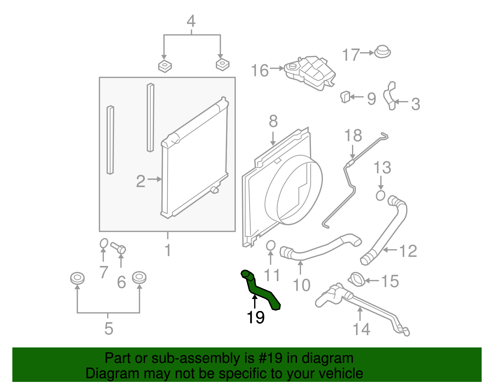 2008-2010 Ford | Reservoir Hose | 8C3Z-8075-F | Walls' Ford Parts