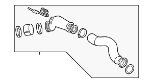 19540569 - Hose 2016-2020 GM | Paradise GM Parts
