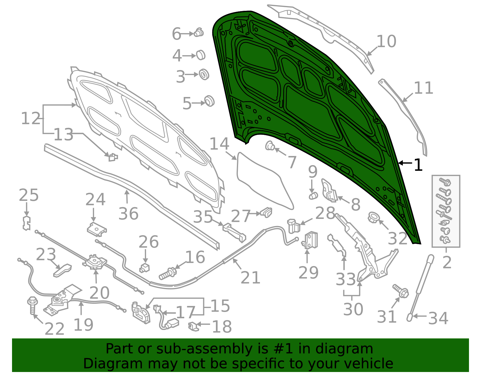 2018-2025 Audi | Hood | 8W6-823-029 | OEM Vehicle Parts