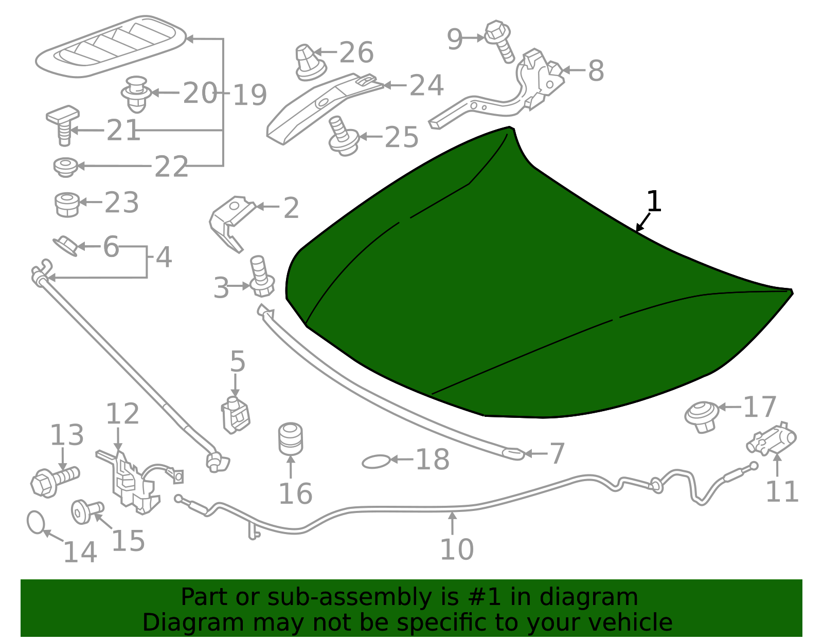 2023-2025 Toyota GR Corolla Hood Panel 53301-12B90 | OEM Parts Online