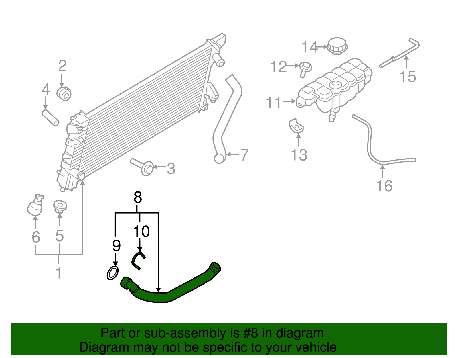 2015-2020 Ford F-150 | Lower Hose | FL3Z-8286-B | Walls' Ford Parts