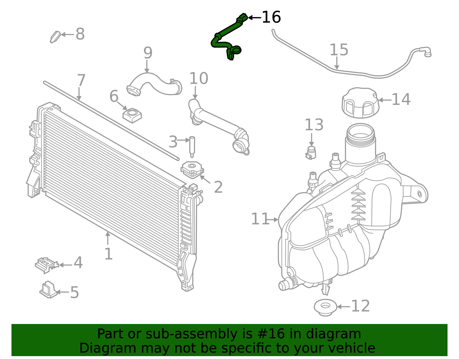 17-12-8-658-484 - Coolant Hose 2019-2024 BMW | Bimmer OEM Parts