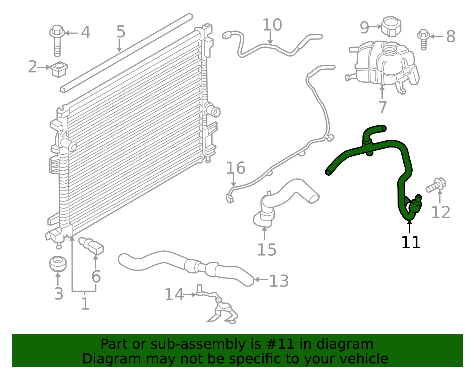 2015-2023 Ford | Engine Coolant Overflow Hose | F2GZ-8C289-F | Walls ...