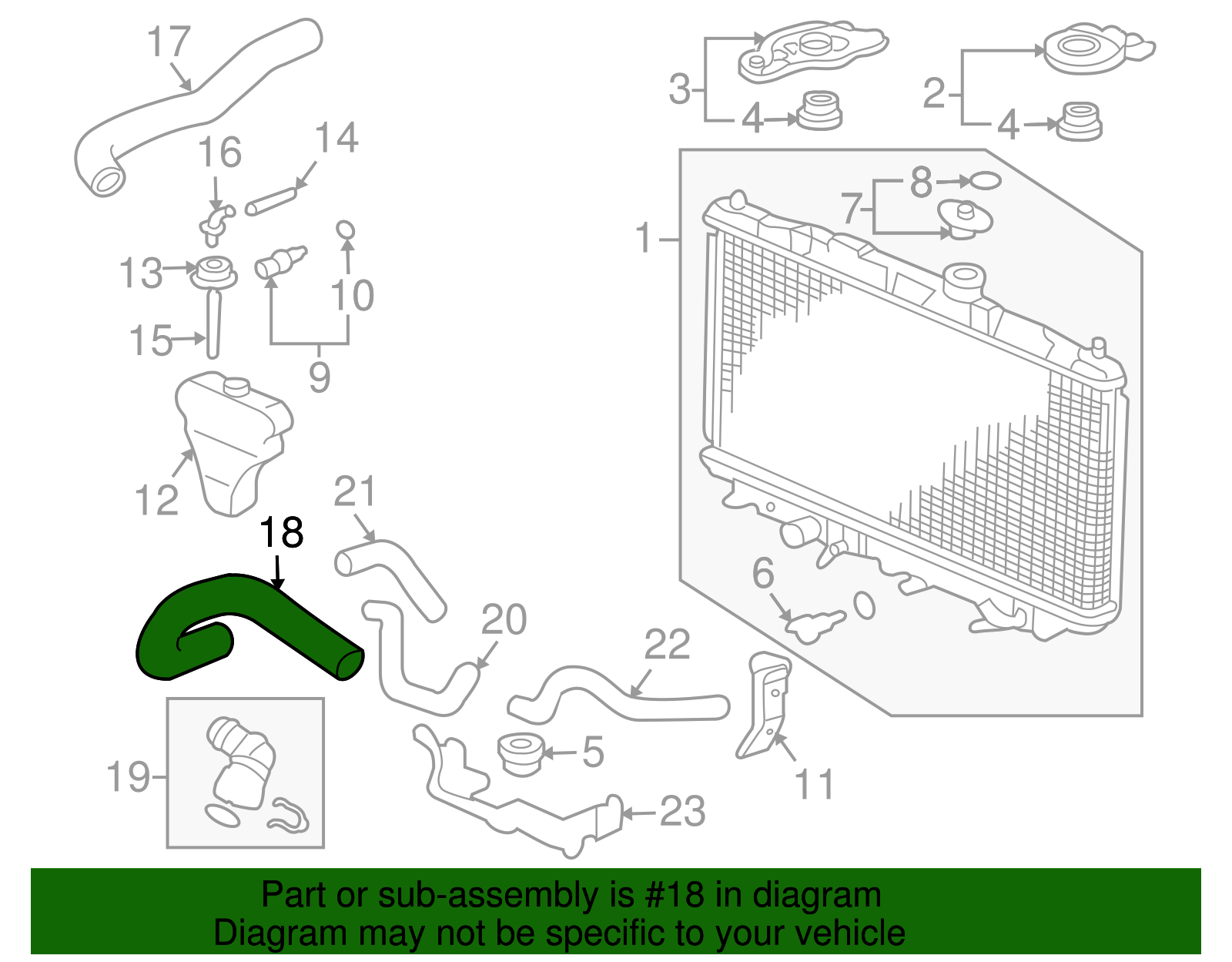 19505-RAA-A00 - Hose Water (Lower) - 2003-2007 Honda Accord | Genuine ...