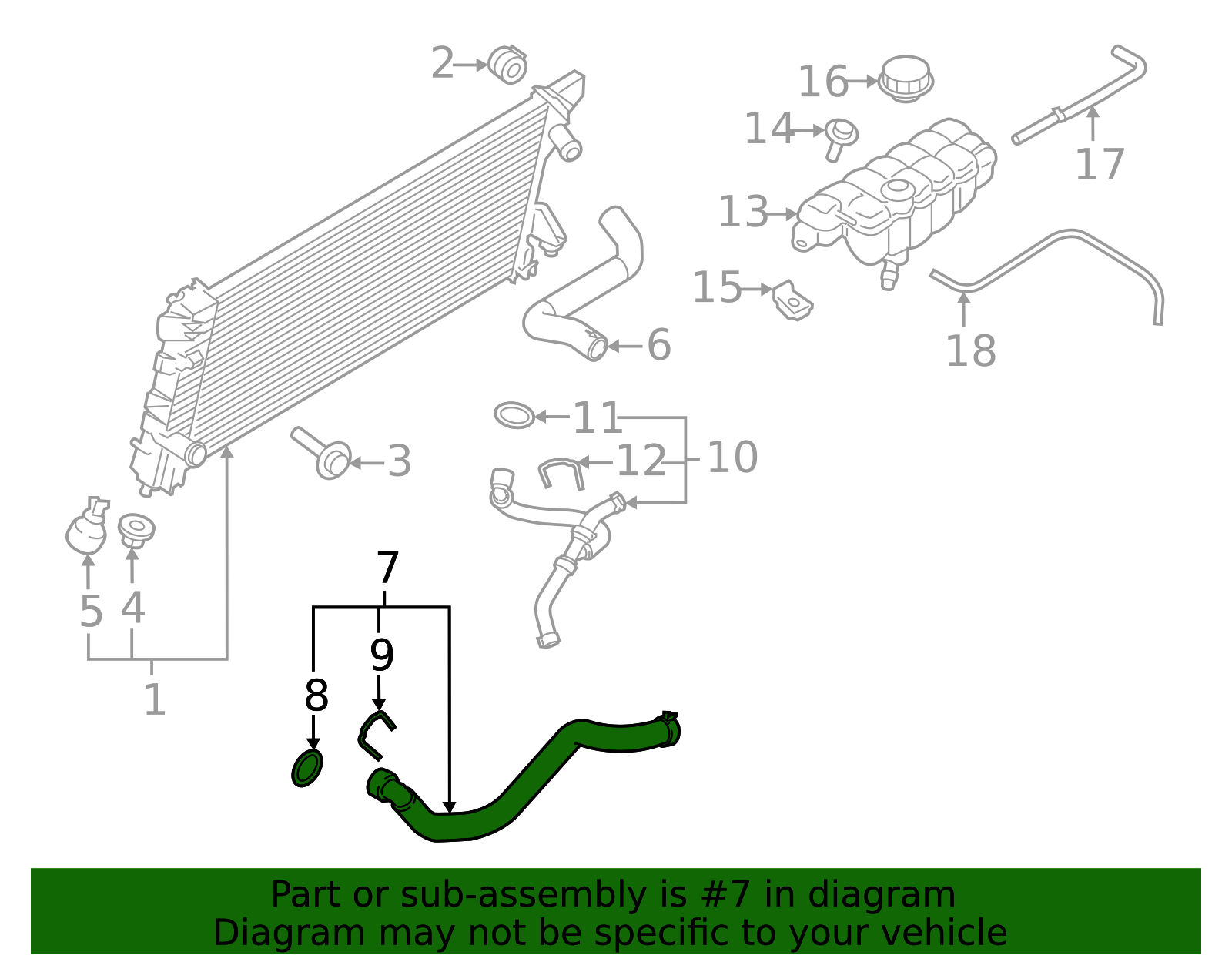 ML3Z-8286-K - Lower Hose 2021-2025 Ford F-150 | Big 3 Auto Parts