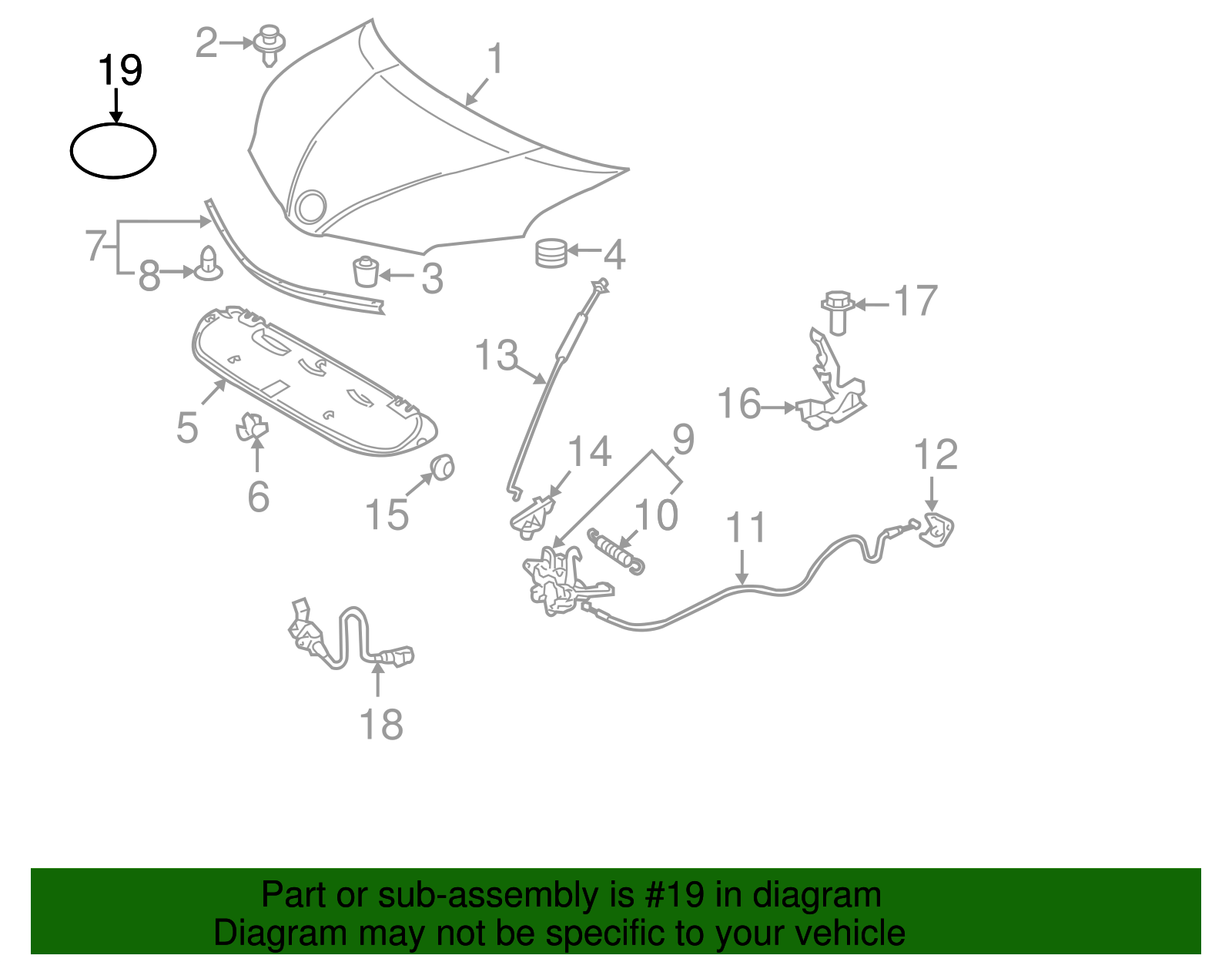 75441-08020 - Hatch Emblem - 2008-2019 Toyota | Lithia Toyota Parts